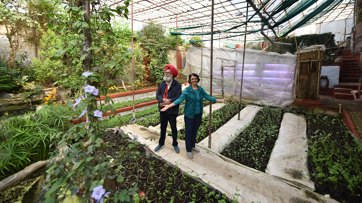 Meet the Sainik Farms Couple Keeping Delhi’s Air Clean with Aquaponics ...
